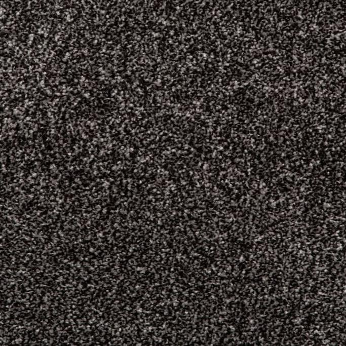 Tobago Carpet – Dark Grey — Trade Superstore Online